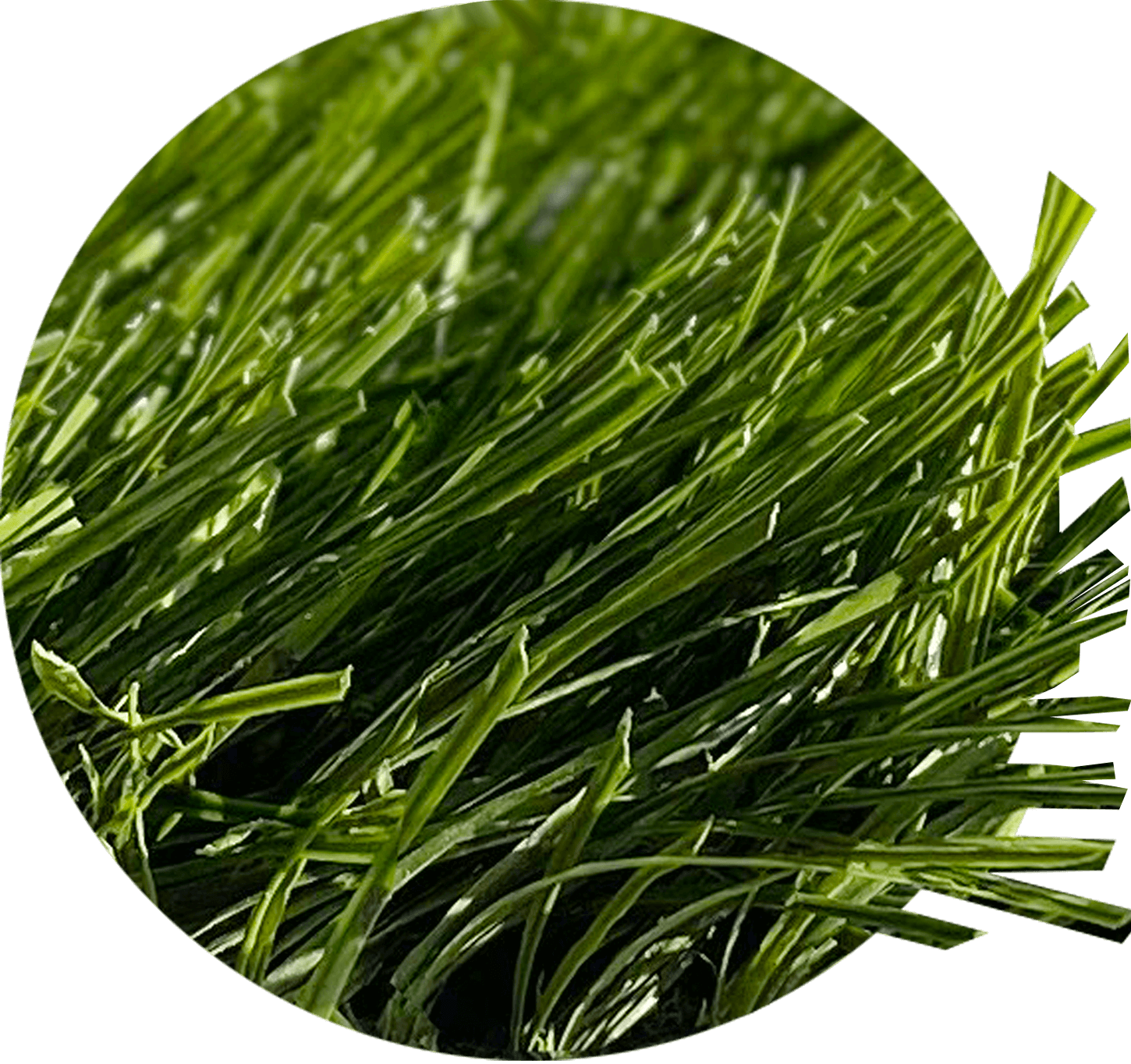 Prémium műfű termékeink - Prémium belga műfű - Grassland - Az örök pázsit